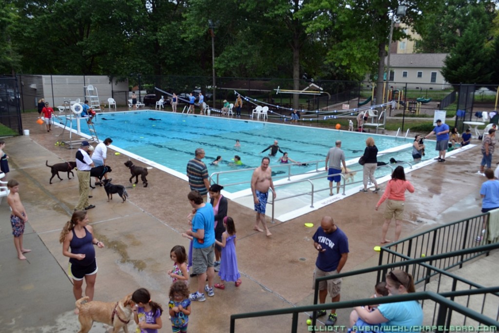 All Paws in the Pool for the 14th Annual Orange County Dog Swim ...