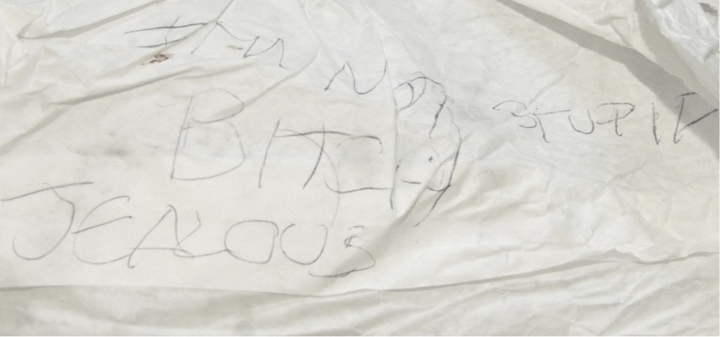 The Latest Faith Hedgepeth Murder Investigation Details - Chapelboro.com