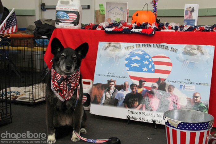 Carly is proud to be part of Vets to Vets United-001 - Chapelboro.com