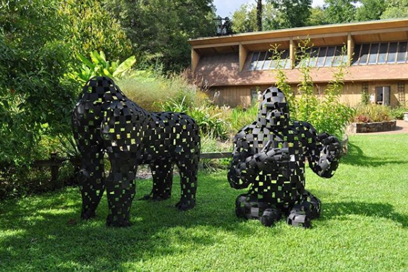 This is Tourism: NC Botanical Garden - Chapelboro.com