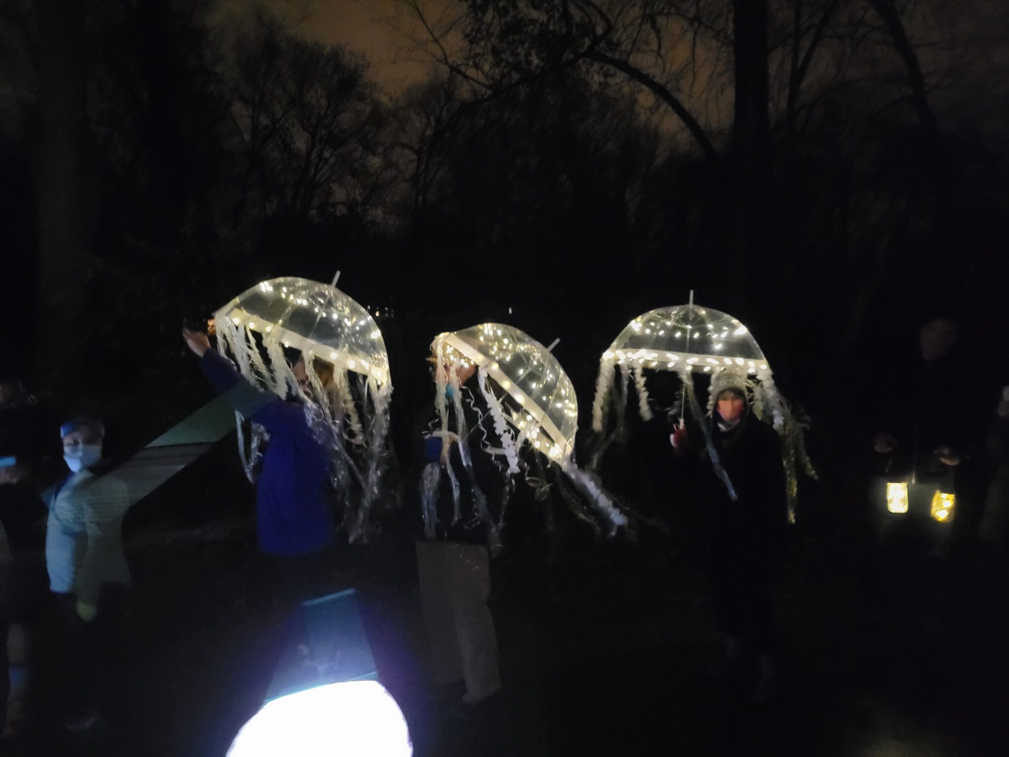 Hillsborough's Lantern Walk Brings Light To Darkest Day of the Year ...
