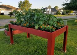 Playing in the Dirt: Make Gardening Easier With Raised Beds and Garden ...