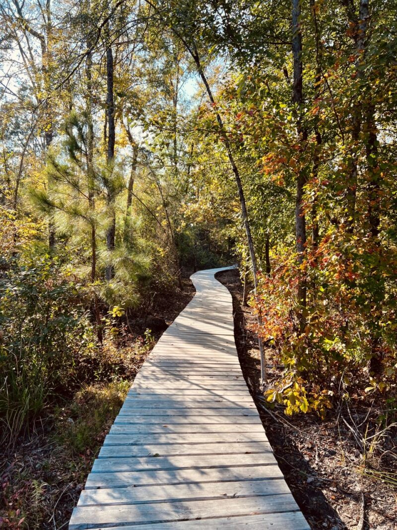 Alamance Awaits: Cane Creek Mountains Natural Area - Chapelboro.com