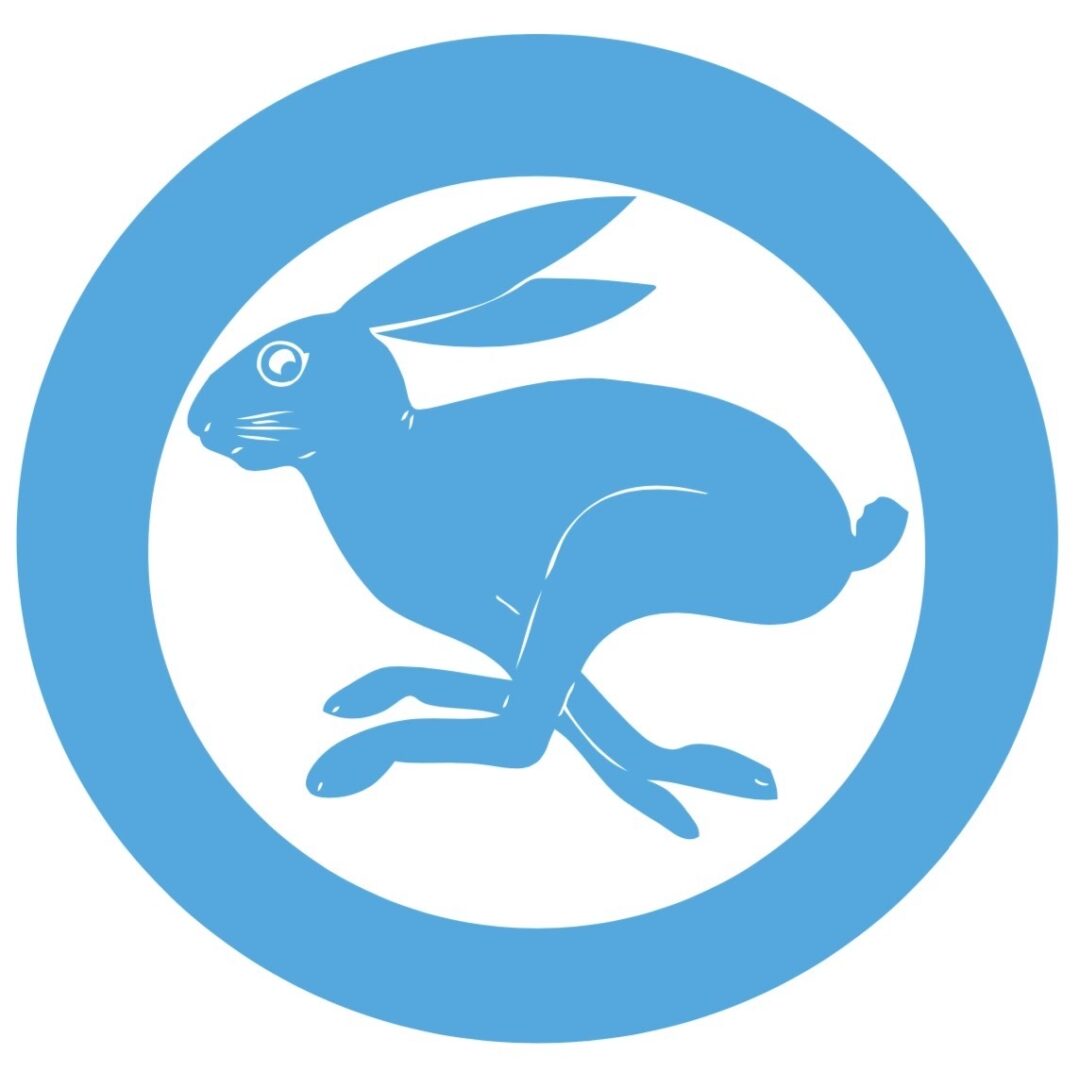 The Record Shop on 97.9 The Hill - Chapelboro.com