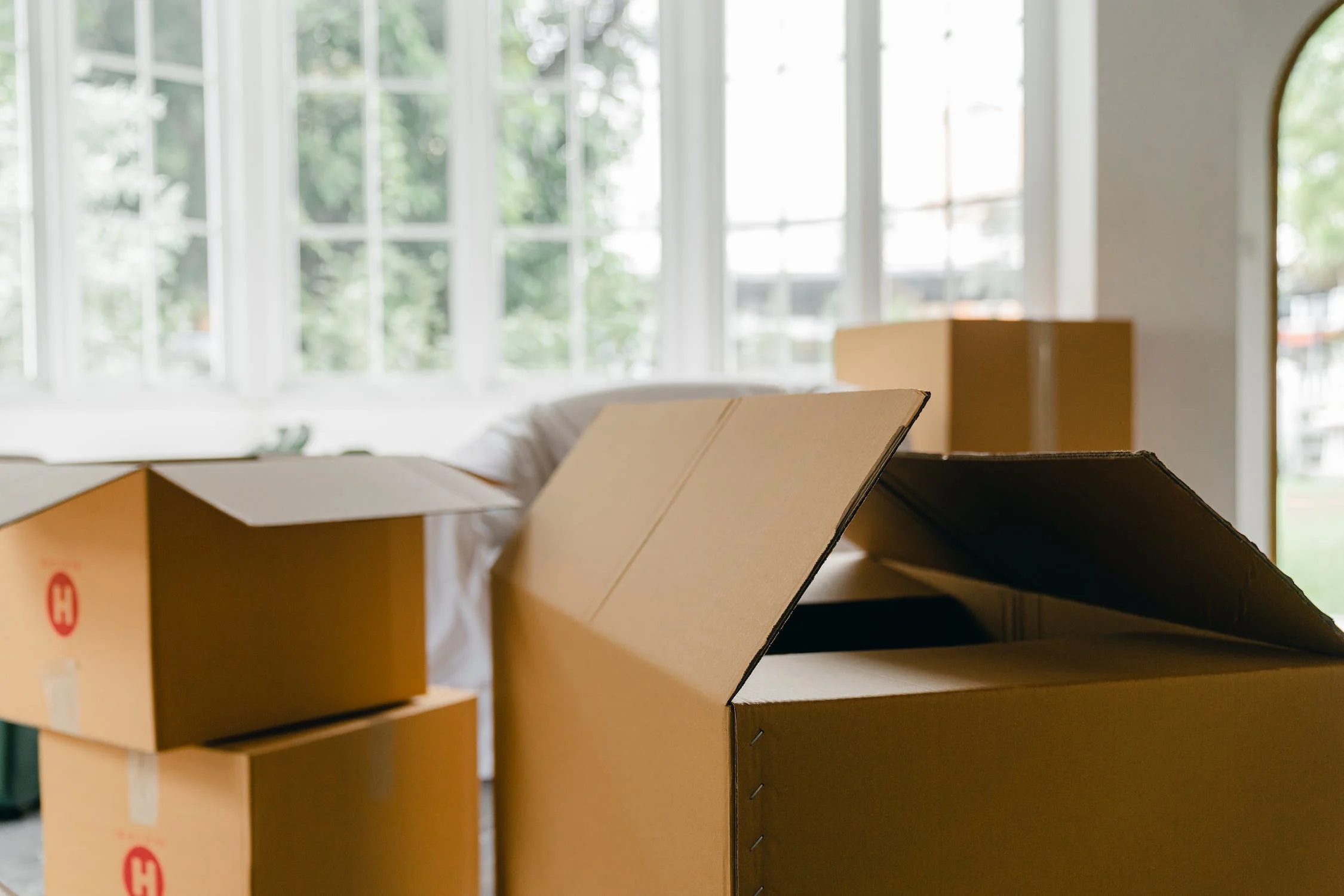 This Just In: Moving Day - Chapelboro.com