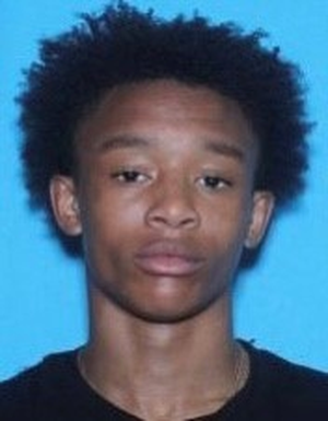 cedric lamont watson jr hillsborough police shooting - Chapelboro.com