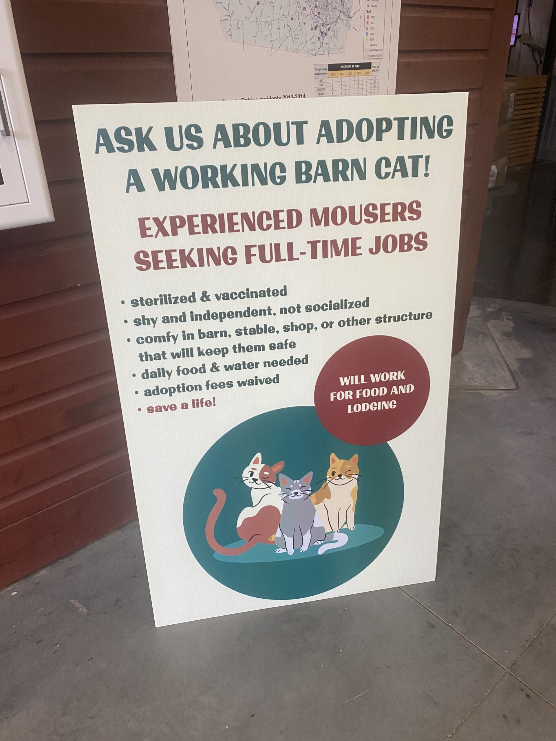 Feral Cats Have a Second Chance in the Orange County Barn Cat Program ...