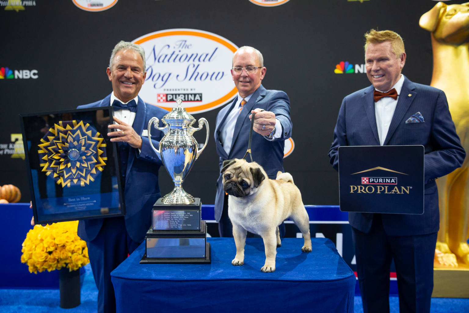 Chapel Hill Pug, Vito, Wins 'Best in Show' at 2024 National Dog Show ...