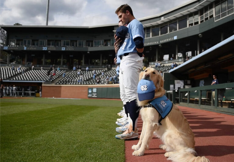 UNC's Home Run Remington Announces 'Retirement' from Baseball Games ...